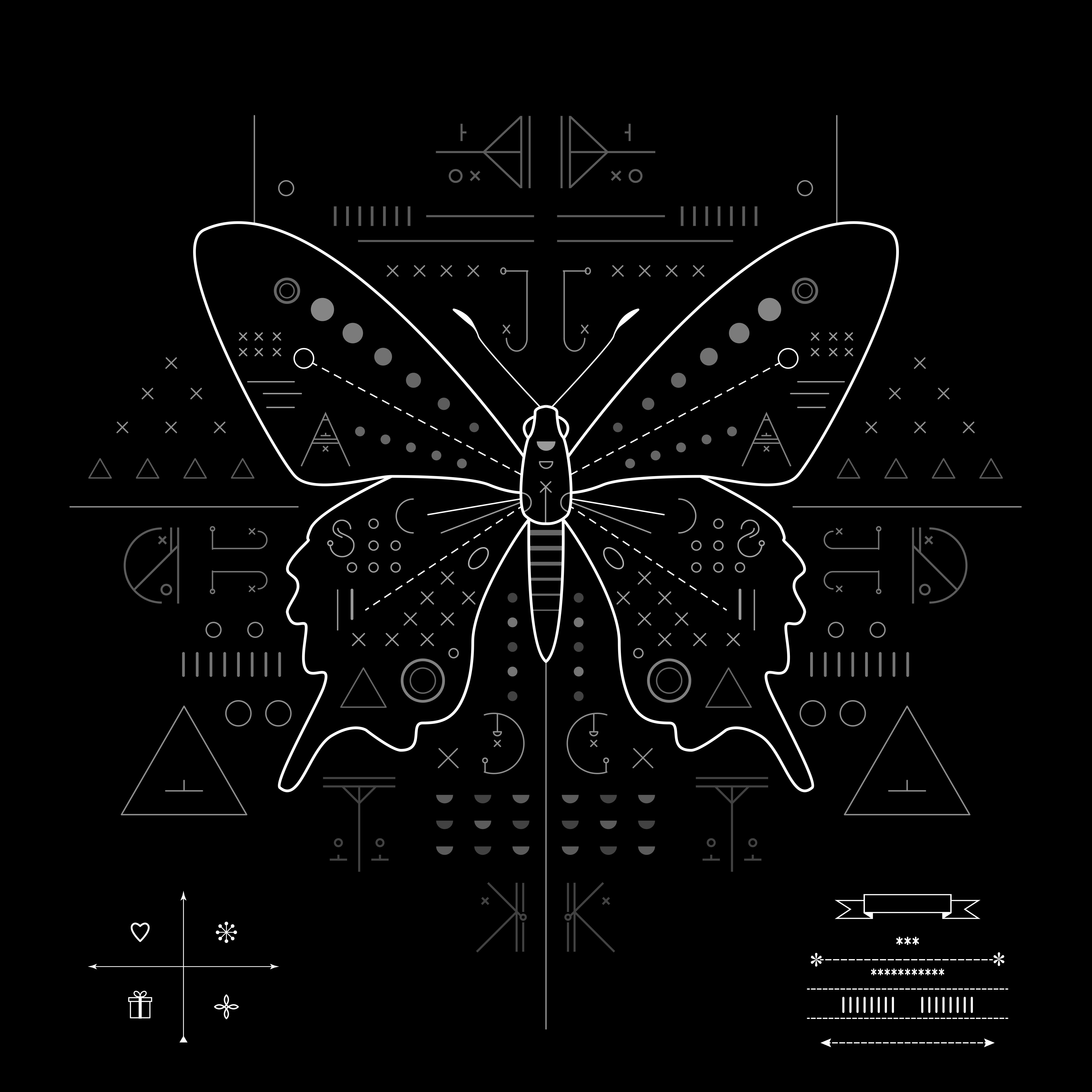 Rosalind Wheeler Kanasia Butterfly on Black Background on Canvas by Loliputa Graphic Art | Wayfair